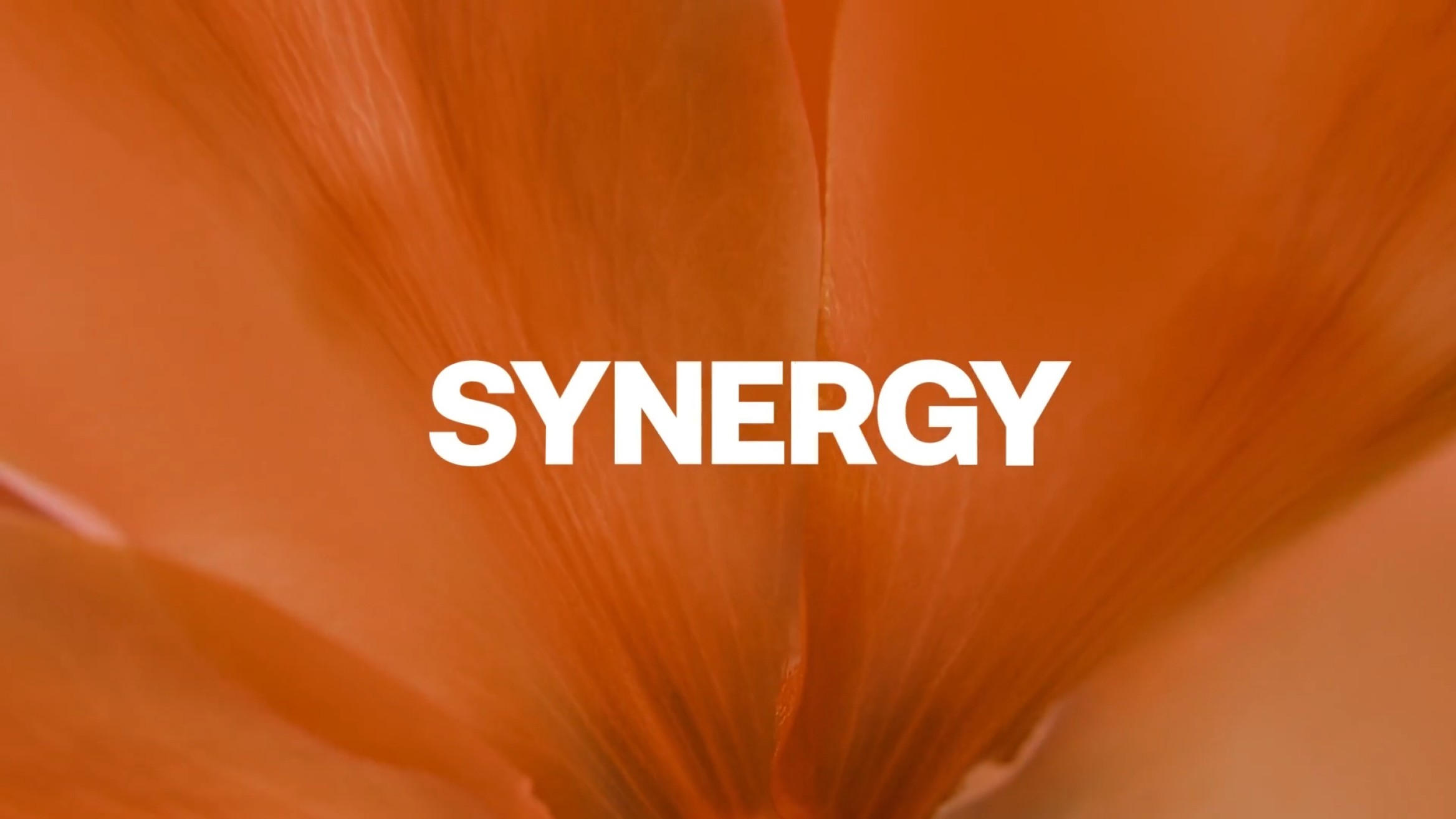 SYNERGY 2025 for Corporate Professionals | Thomson Reuters